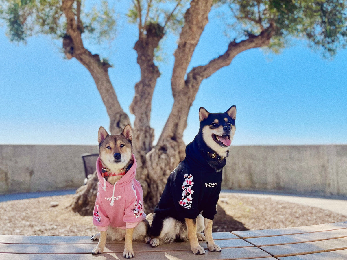 Woof White Cotton Hoodie (Sakura- Black/Pink) – ChoChoCho Pet